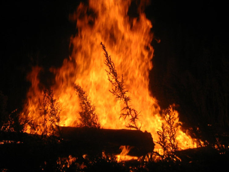 Top 10 Wildfire causes And How To Be Prepared | SurvivalBox – Survivalbox